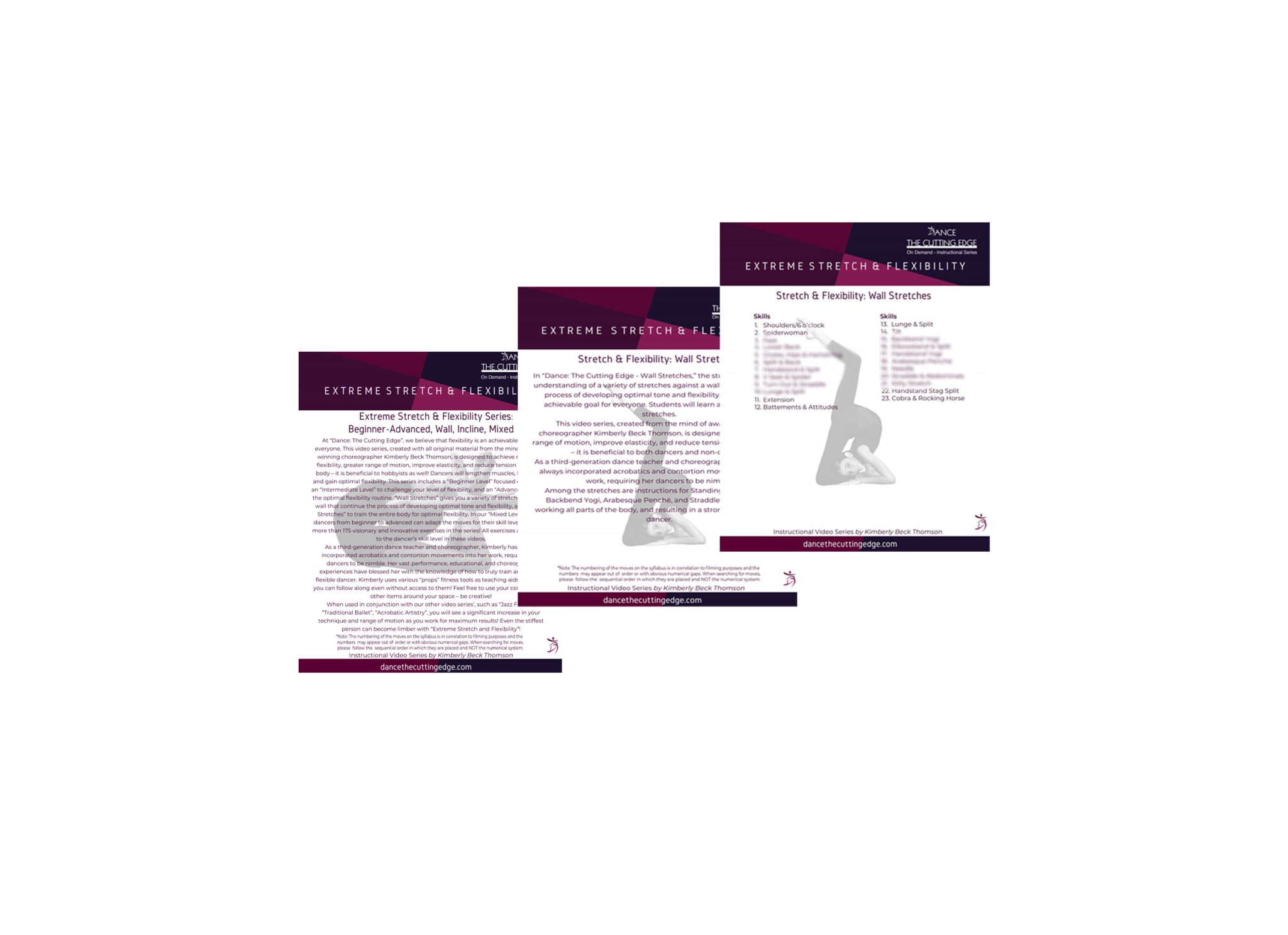 Buy Dance Syllabus (10 Genres) - DTCE